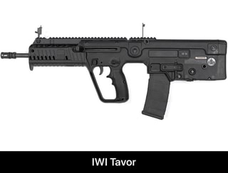 Bullpup memes. Best Collection of funny bullpup pictures on iFunny