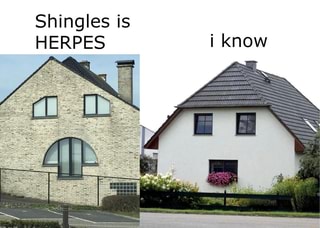 Shingles memes. Best Collection of funny shingles pictures on iFunny