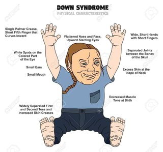 Flattened memes. Best Collection of funny flattened pictures on iFunny