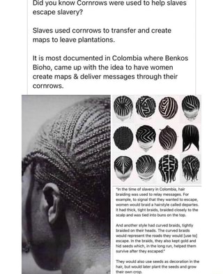 Cornrows memes. Best Collection of funny cornrows pictures on iFunny