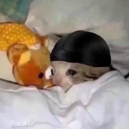 Durag memes. Best Collection of funny durag pictures on iFunny