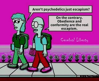 Conformity memes. Best Collection of funny conformity pictures on iFunny