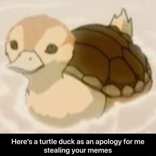 Picture memes 2kJ9Gqjc6 by sokka: 447 comments - iFunny :)