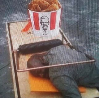 Mousetrap memes. Best Collection of funny mousetrap pictures on iFunny