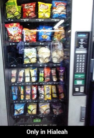 Hialeah memes. Best Collection of funny hialeah pictures on iFunny