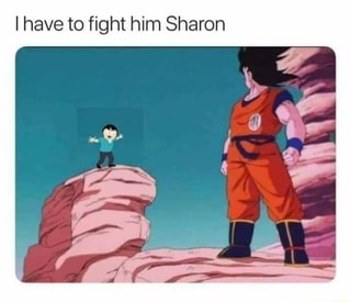 Sharon memes. Best Collection of funny sharon pictures on iFunny