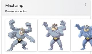 Machamp memes. Best Collection of funny machamp pictures on iFunny