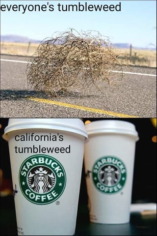 Tumbleweed memes. Best Collection of funny tumbleweed pictures on iFunny