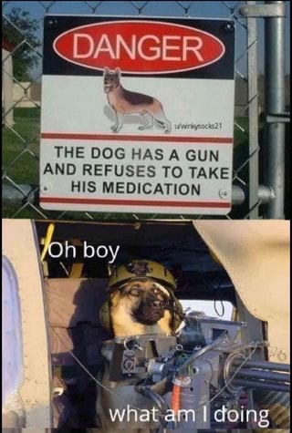 Epicdndmemes projectile's path ES randomitemdrop Item: Gun Loudener ...