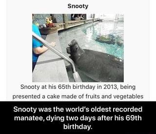 Snooty memes. Best Collection of funny snooty pictures on iFunny