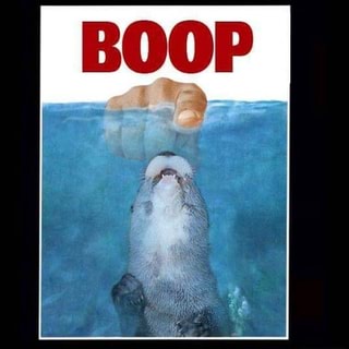 Sbubby memes. Best Collection of funny sbubby pictures on iFunny