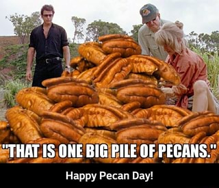 Pecan memes. Best Collection of funny pecan pictures on iFunny