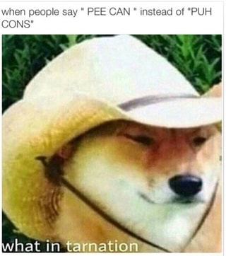 Pecan memes. Best Collection of funny pecan pictures on iFunny