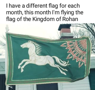 Rohan memes. Best Collection of funny rohan pictures on iFunny