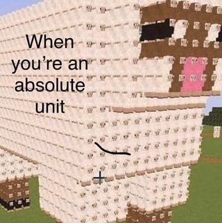 Sheep memes. Best Collection of funny sheep pictures on iFunny