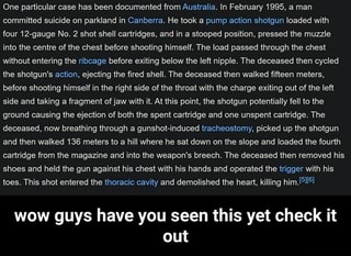 Canberra memes. Best Collection of funny canberra pictures on iFunny