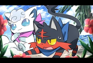 Litten memes. Best Collection of funny litten pictures on iFunny