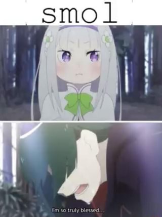 Smol memes. Best Collection of funny smol pictures on iFunny