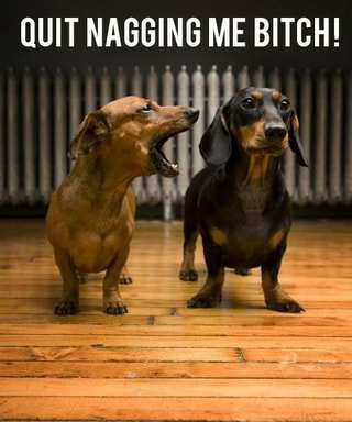 Nagging memes. Best Collection of funny nagging pictures on iFunny