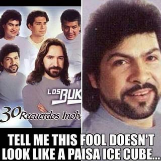 Bukis memes. Best Collection of funny bukis pictures on iFunny