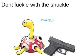 Shuckle memes. Best Collection of funny shuckle pictures on iFunny
