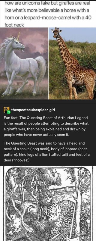 How are unicorns fake but giraffes are real like what's more believable ...