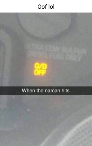 Narcan memes. Best Collection of funny narcan pictures on iFunny