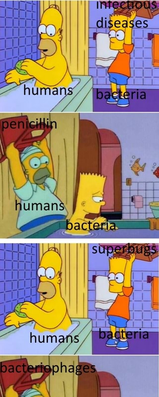 Bacteriophage memes. Best Collection of funny bacteriophage pictures on ...
