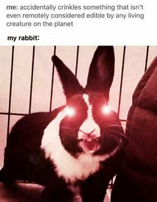 Edible memes. Best Collection of funny edible pictures on iFunny