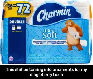 Dingleberry memes. Best Collection of funny dingleberry pictures on iFunny