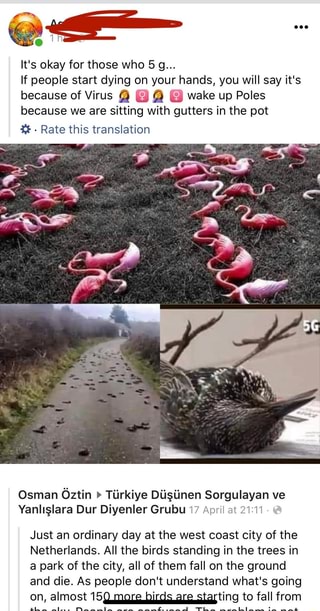 Gutters memes. Best Collection of funny gutters pictures on iFunny