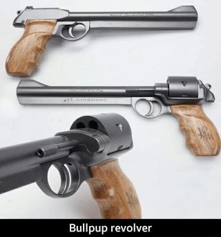 Bullpup memes. Best Collection of funny bullpup pictures on iFunny