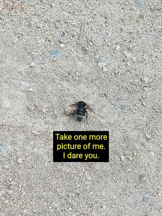 Stop memes. Best Collection of funny stop pictures on iFunny