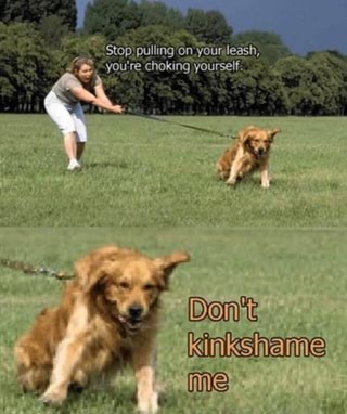 Walking memes. Best Collection of funny walking pictures on iFunny