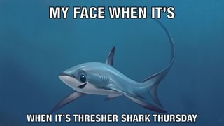 MY FACE WHEN IT'S WHEN IT'S THRESHER SHARK THURSDAY - iFunny :)