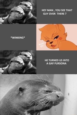 Zonkpunch memes. Best Collection of funny zonkpunch pictures on iFunny