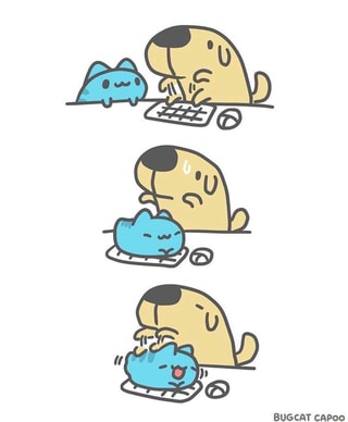 Capoo memes. Best Collection of funny capoo pictures on iFunny