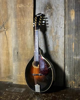 Mandolin memes. Best Collection of funny mandolin pictures on iFunny