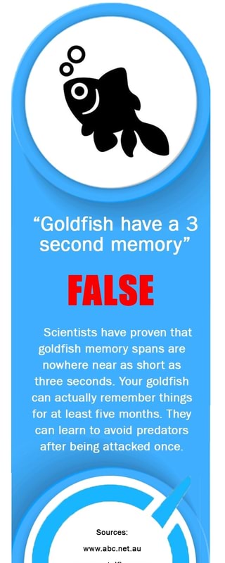 "Goldfish have a 3 second memory" Scientists have proven that goldfish ...