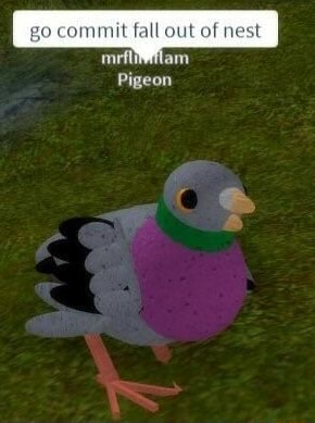 Albertsstuff memes. Best Collection of funny albertsstuff pictures on ...