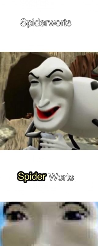 Spiderus memes. Best Collection of funny spiderus pictures on iFunny