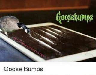 Goosebumps Goose Bumps - iFunny :)