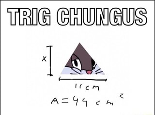 Trig memes. Best Collection of funny trig pictures on iFunny