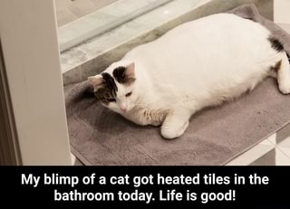 Blimp memes. Best Collection of funny blimp pictures on iFunny