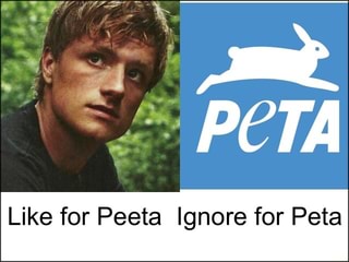 PETA @ @peta Next time you think of eating a chicken, remember that ...