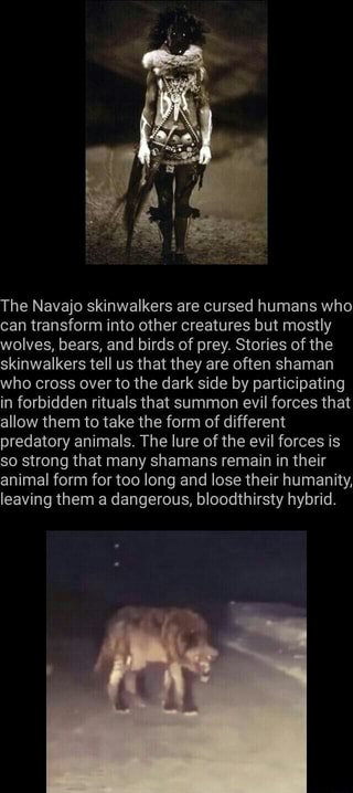 Skinwalkers memes. Best Collection of funny skinwalkers pictures on iFunny