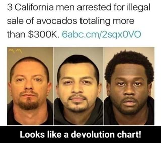 Devolution memes. Best Collection of funny devolution pictures on iFunny