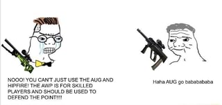 NOOO! YOU CAN'T JUST USE THE AUG AND PET HIPFIRE! THE AWP IS FOR ...