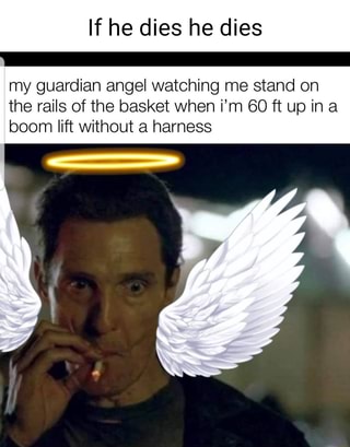 Harness memes. Best Collection of funny harness pictures on iFunny