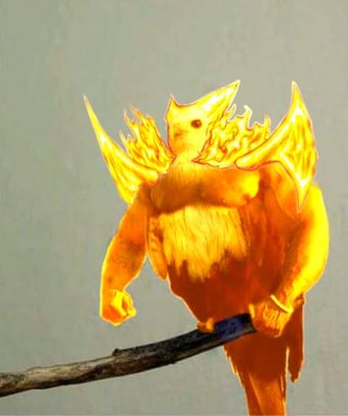 Phoenix memes. Best Collection of funny phoenix pictures on iFunny